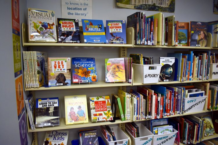 Ms. Holly excited to provide fun activities for kids | News, Sports ...